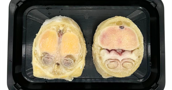 Beef Feet Cut | 5cm Thick | 1kg | 牛蹄/牛节切 | BR
